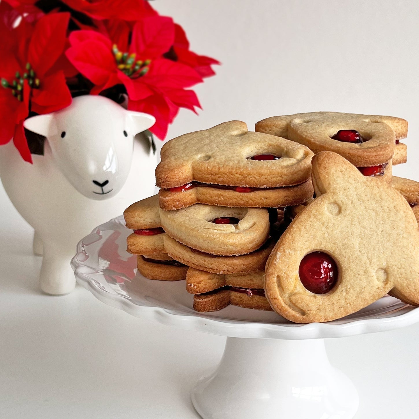 Herdy’s 'Red Nose' Biscuits – The Herdy Company Ltd