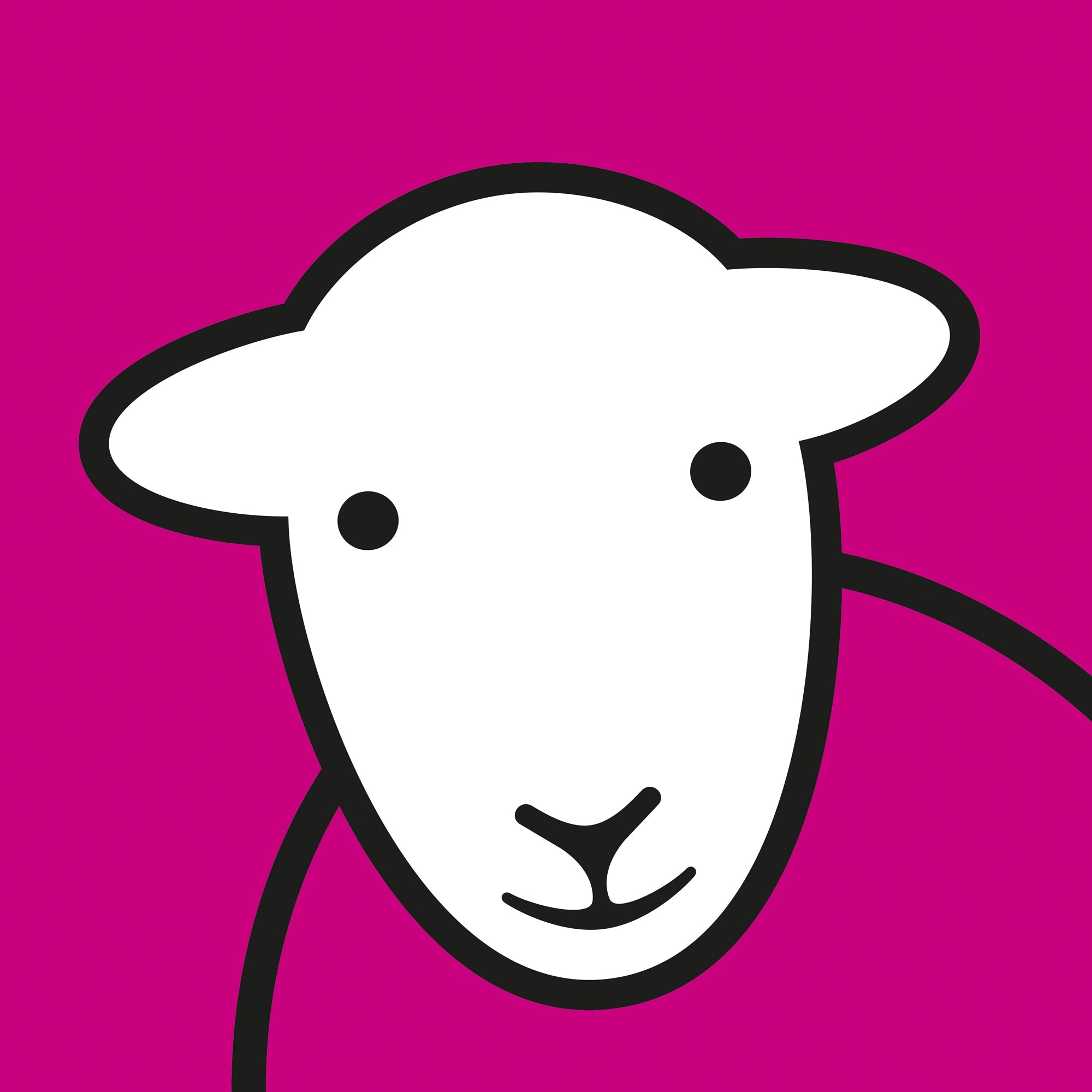 Hello – Page 3 – The Herdy Company Ltd