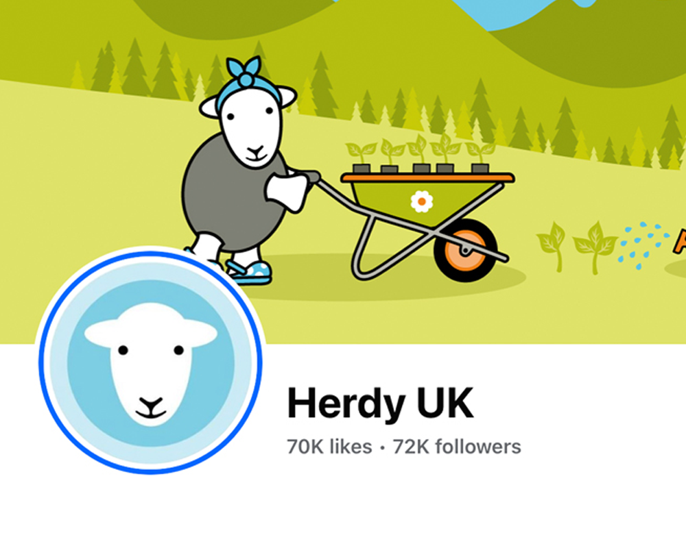 About Us – The Herdy Company Ltd