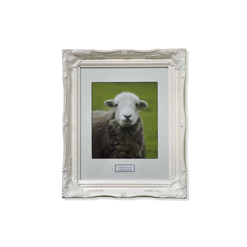 About Us – The Herdy Company Ltd
